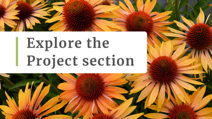 Exploreprojectsection - PlantMaster Blog